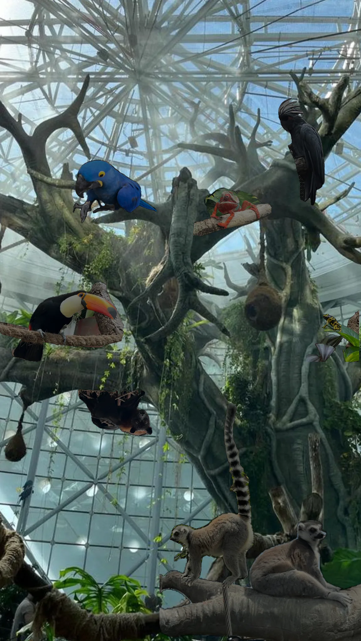 The Green Planet Dubai Tickets | Indoor Rainforest & Wildlife Bio-Dome