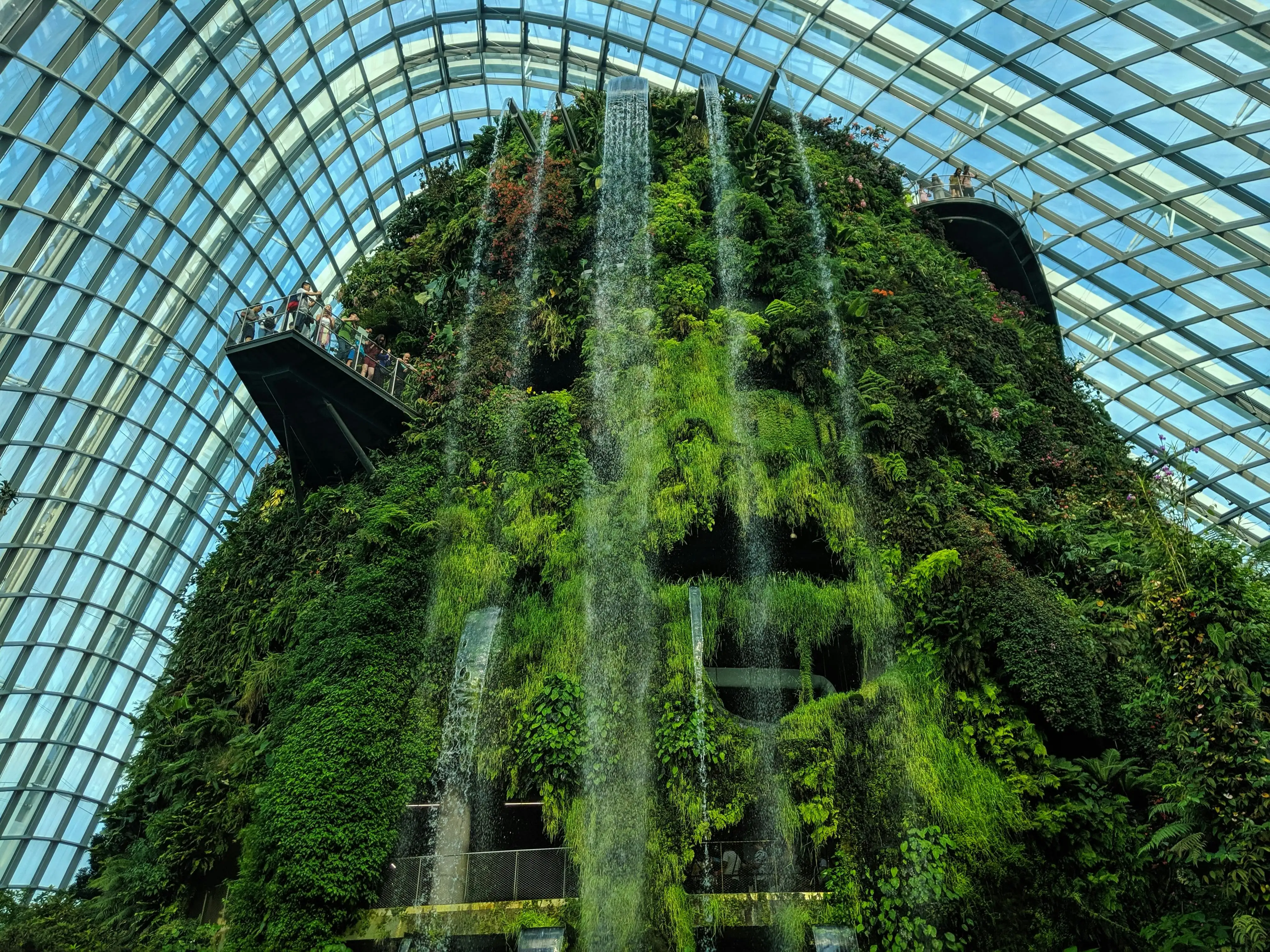 Gardens by the Bay Singapore Tickets | Cloud Forest, Flower Dome ...